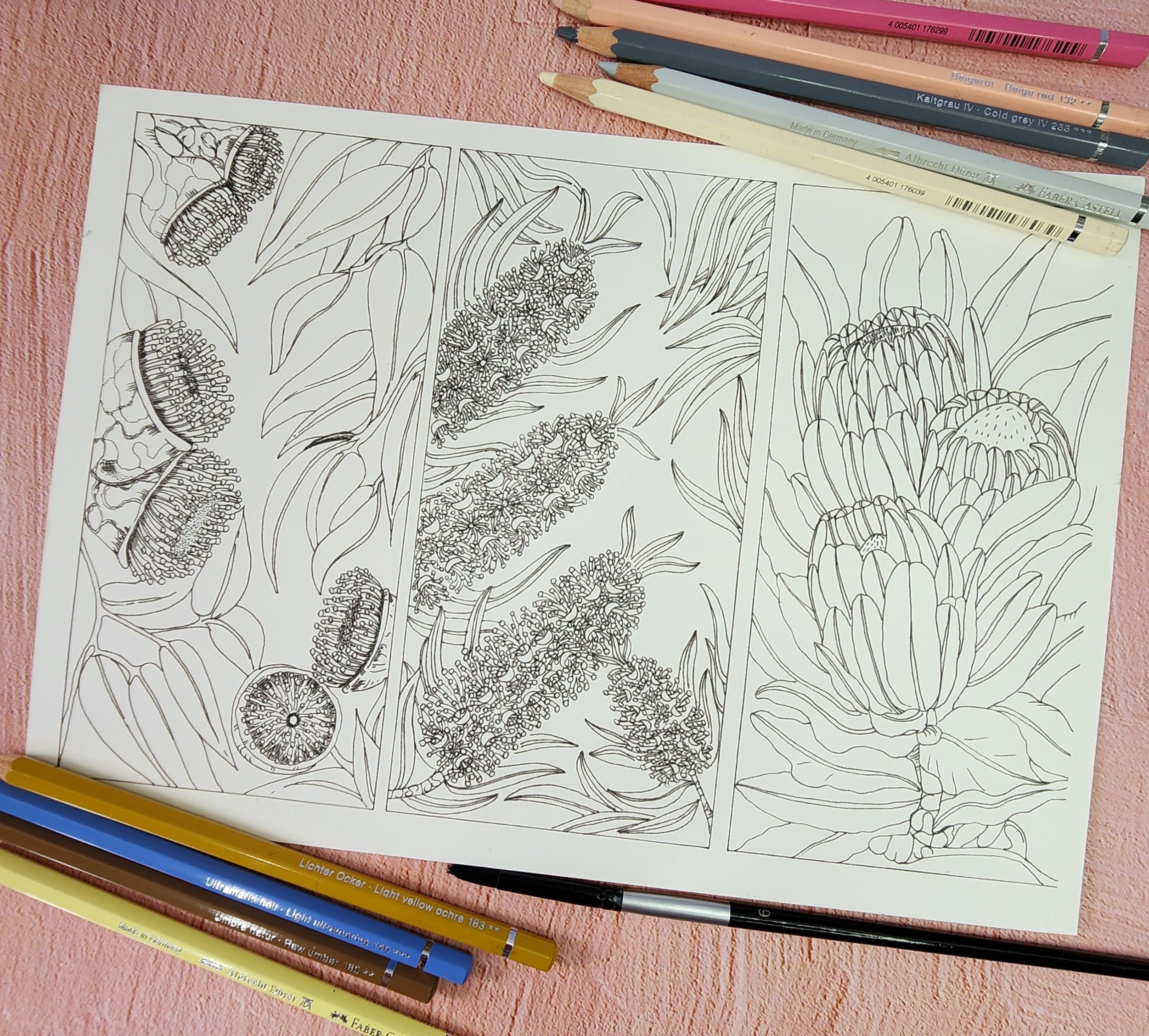 Australian Native Flowers Colouring Bookmarks | Dusty Gypsy Studio